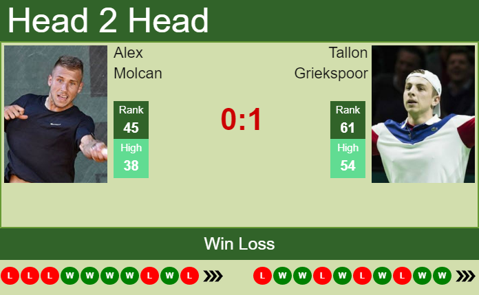 H2H, PREDICTION Alex Molcan vs Tallon Griekspoor | Halle odds, preview, pick - Tennis Tonic ...