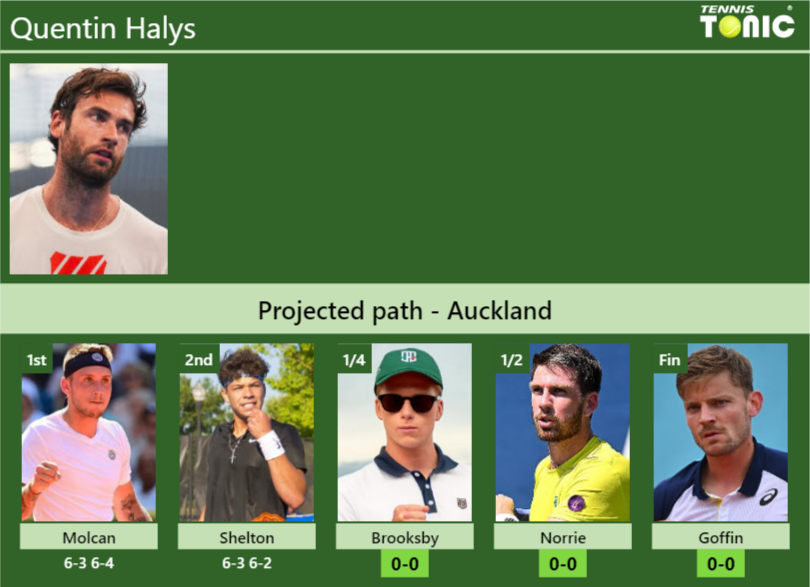 [UPDATED QF]. Prediction, H2H of Quentin Halys's draw vs Brooksby, Norrie, Goffin to win the ...