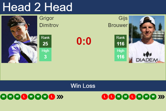 H2H, prediction of Grigor Dimitrov vs Gijs Brouwer in Marseille with odds, preview, pick ...