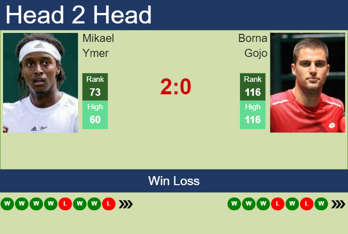 H2H, prediction of Mikael Ymer vs Borna Gojo in Rotterdam with odds, preview, pick - Tennis ...
