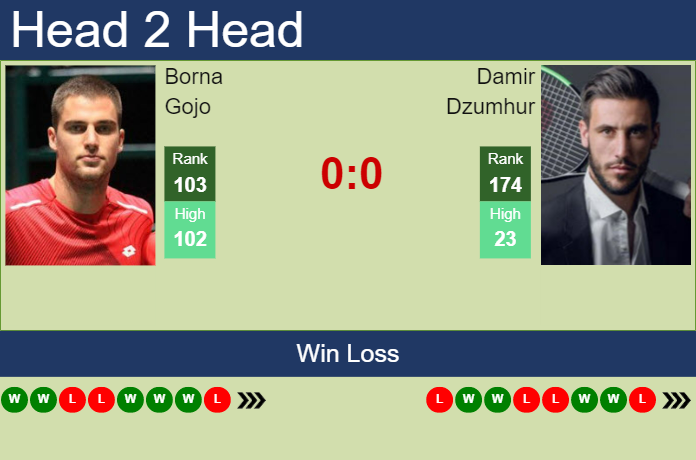H2H, prediction of Borna Gojo vs Damir Dzumhur in French Open with odds, preview, pick | 22nd ...