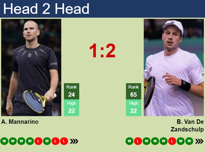 H2H, prediction of Adrian Mannarino vs Botic Van De Zandschulp in Paris with odds, preview, pick ...