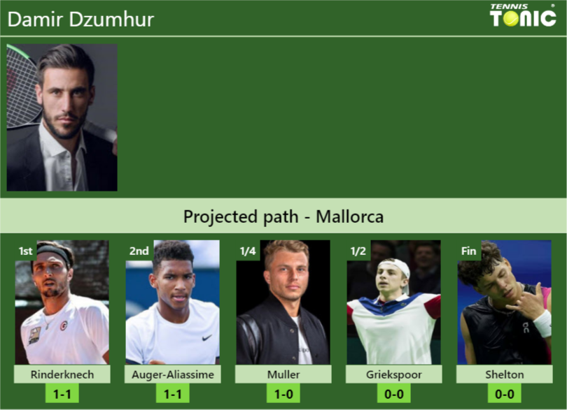 MALLORCA DRAW. Damir Dzumhur's prediction with Rinderknech next. H2H and rankings - Tennis Tonic ...